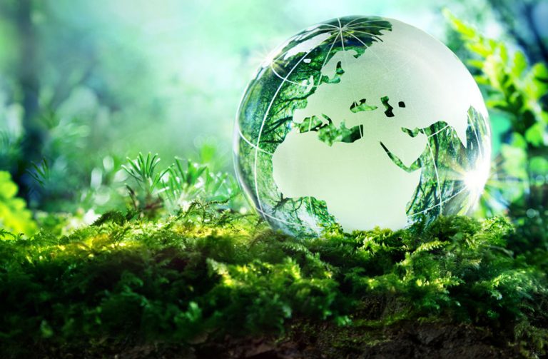 Environmental Support - T47 International